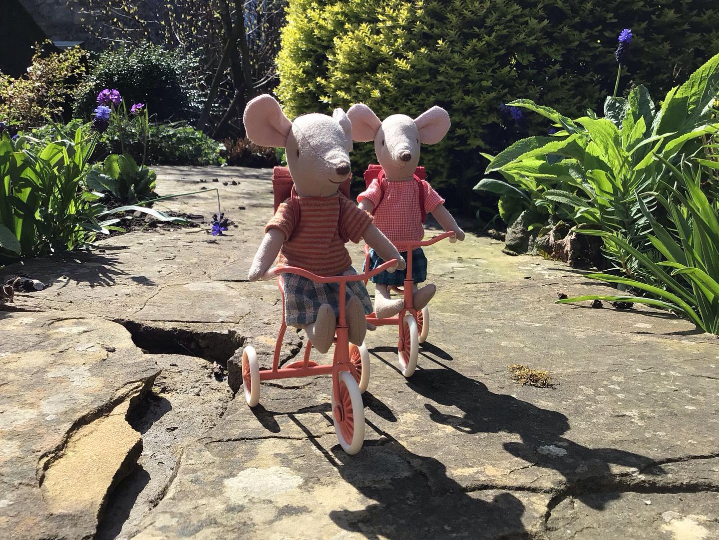 The Rustic Rabbit gift shop